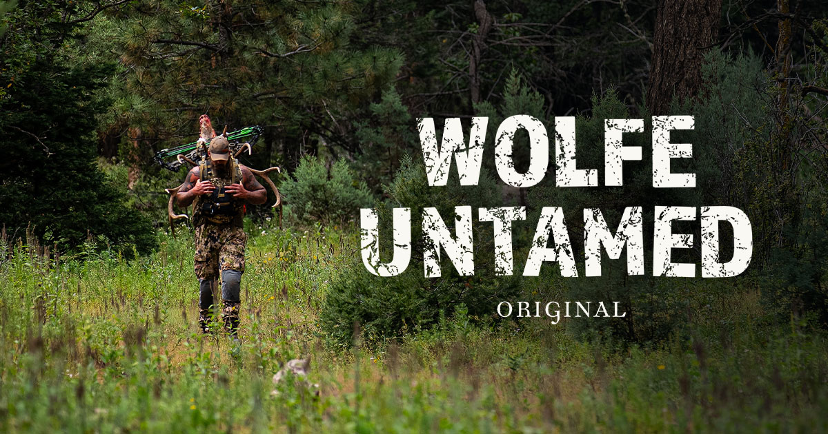 Wolfe Untamed